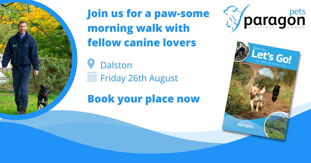 Paragon Vets Invites Dog Owners To Celebrate International Dog Day ...