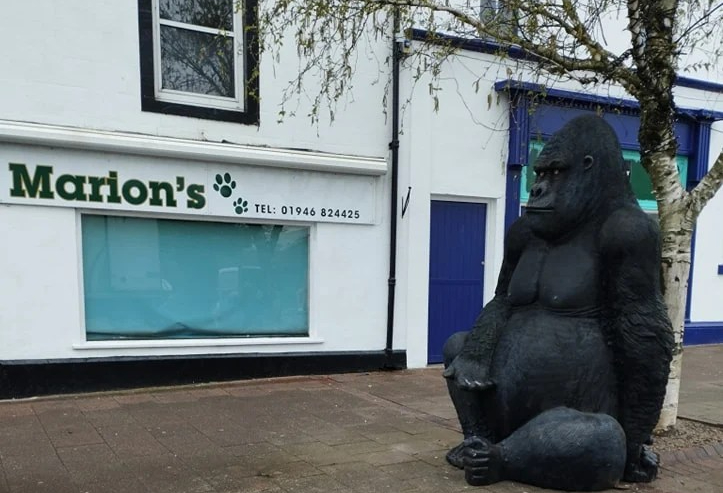Onslo The 8ft Gorilla And Marions Raise Over £400 For Crab Fair 2023 ...