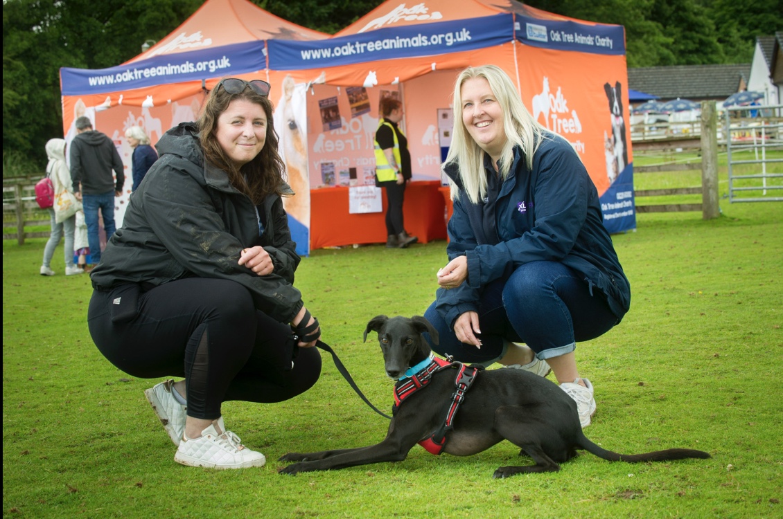 Summer Fair Raises Over £5,000 For Oak Tree Animals’ Charity – THE ...
