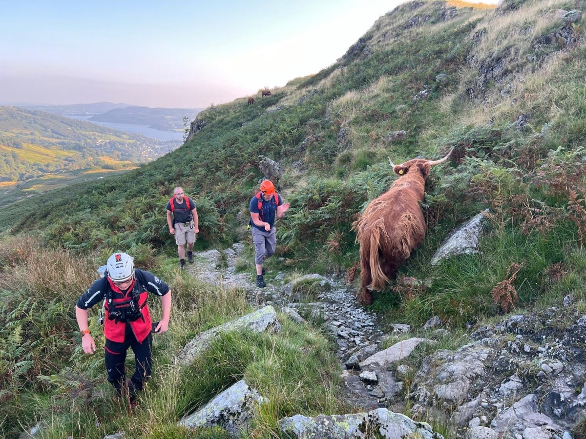Woman Airlifted To Hospital After 10 Foot Rocky Fall In The Lake ...