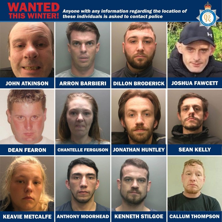 Cumbria Police Have Released Their Christmas Most Wanted – THE HERDWICK ...